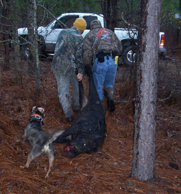 Buck and Boar hunting lodge and guide service home pg.
